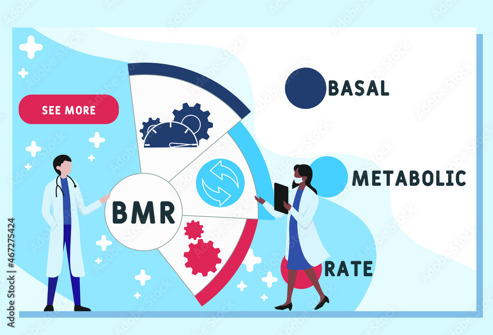 BMR - Basal Metabolic Rate acronym. medical concept background. vector ...