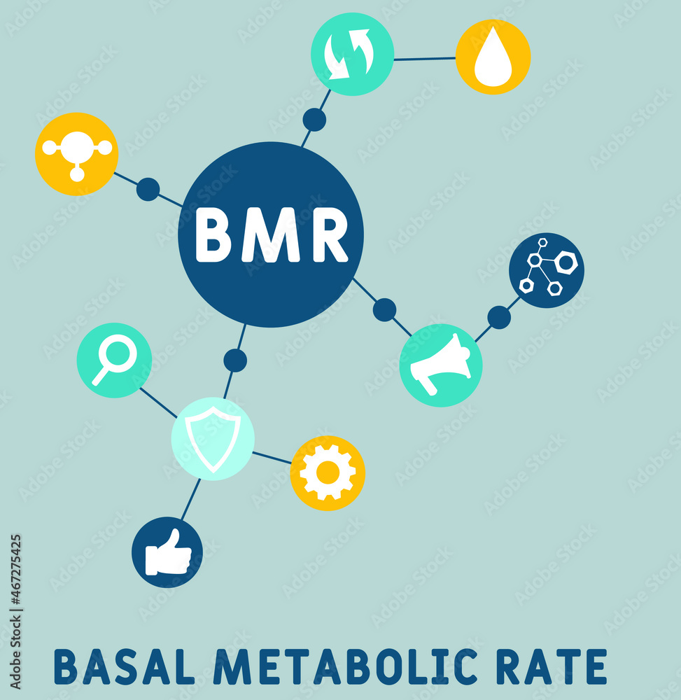 BMR - Basal Metabolic Rate acronym. medical concept background. vector ...