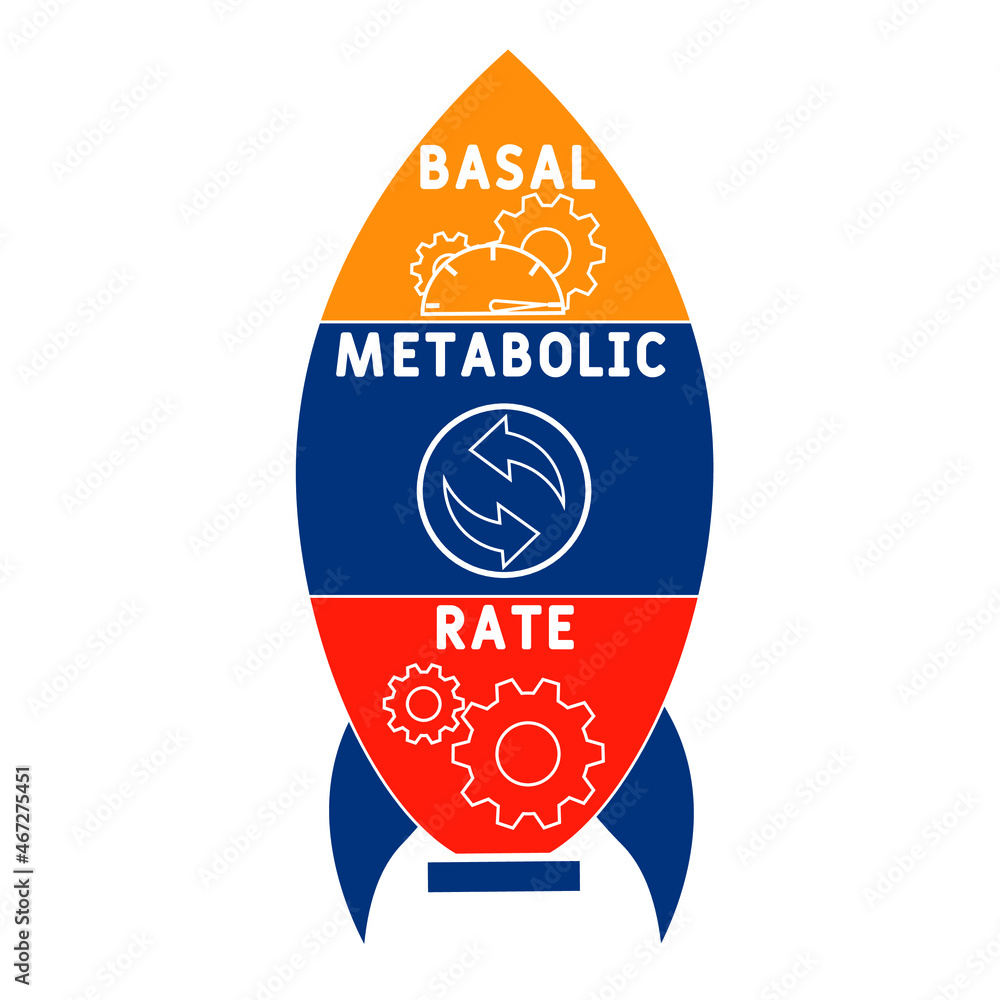 BMR - Basal Metabolic Rate acronym. medical concept background. vector ...