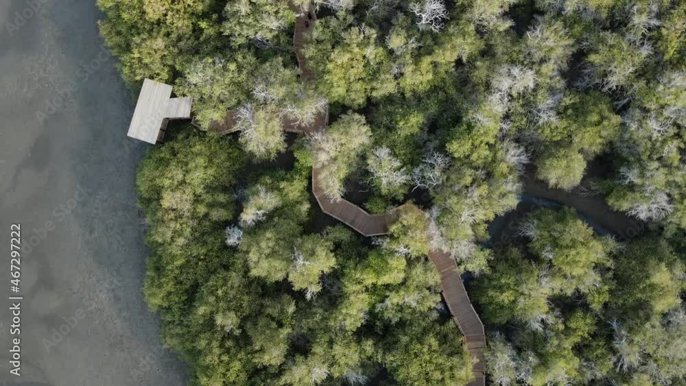 The top view of the Kalba Mangrove, also known as Khor Kalba, is ...