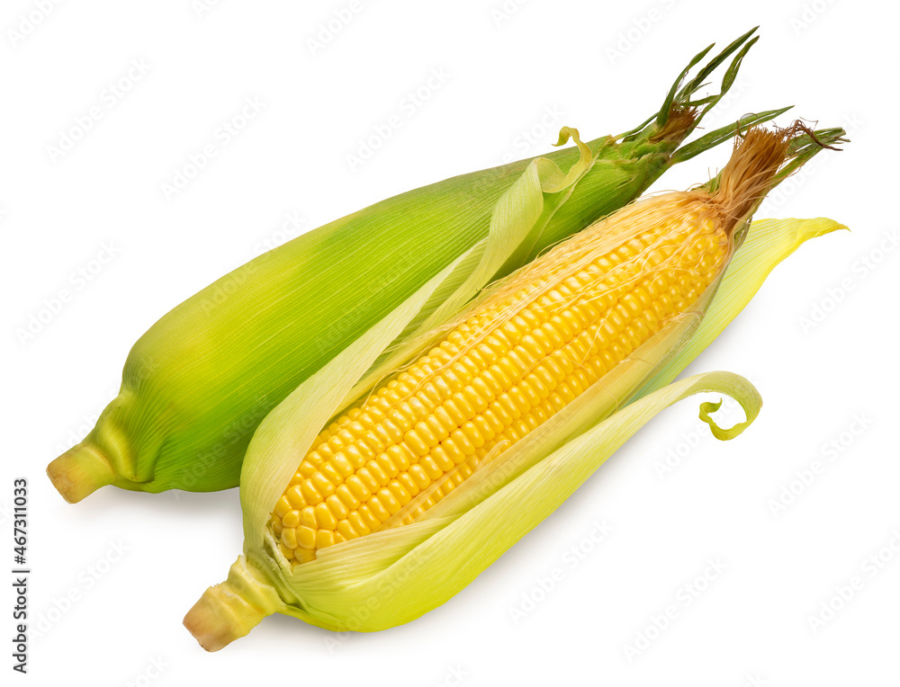 Yellow corn with leaf isolated on white background, Fresh corn ears ...