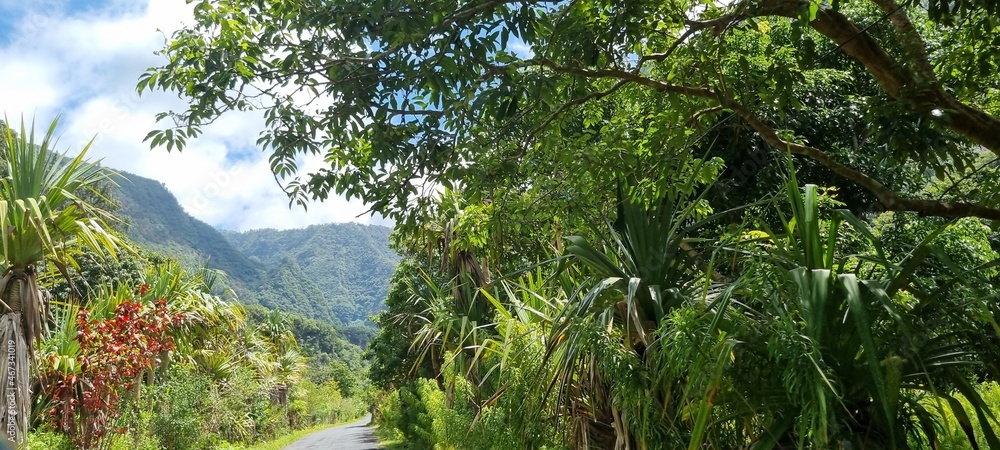 île de la réunion, nature, paysages Stock Photo | Adobe Stock