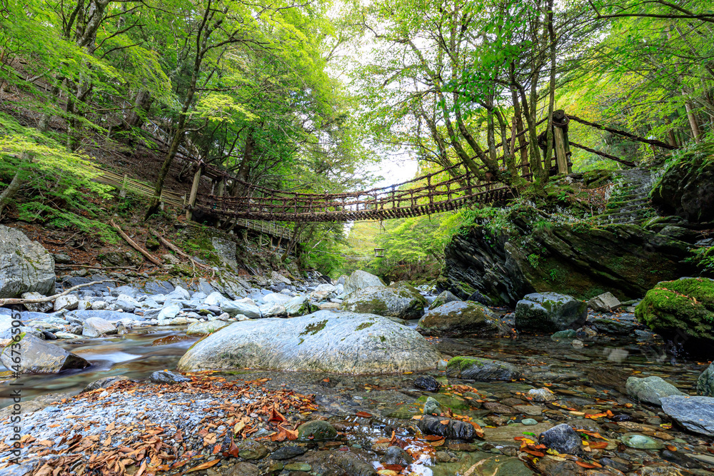奥祖谷二重かずら橋 女橋 徳島県三好市 Oku Iya Double Kazura Bridge Onnabashi Tokushima ...