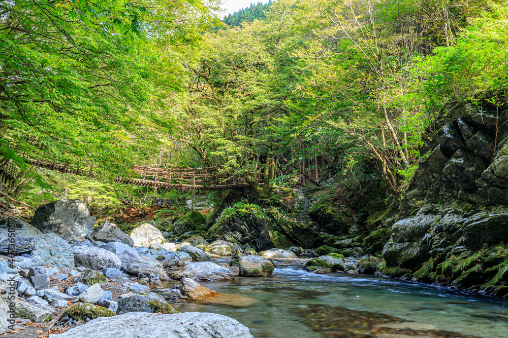 奥祖谷二重かずら橋 女橋 徳島県三好市 Oku Iya Double Kazura Bridge Onnabashi Tokushima ...