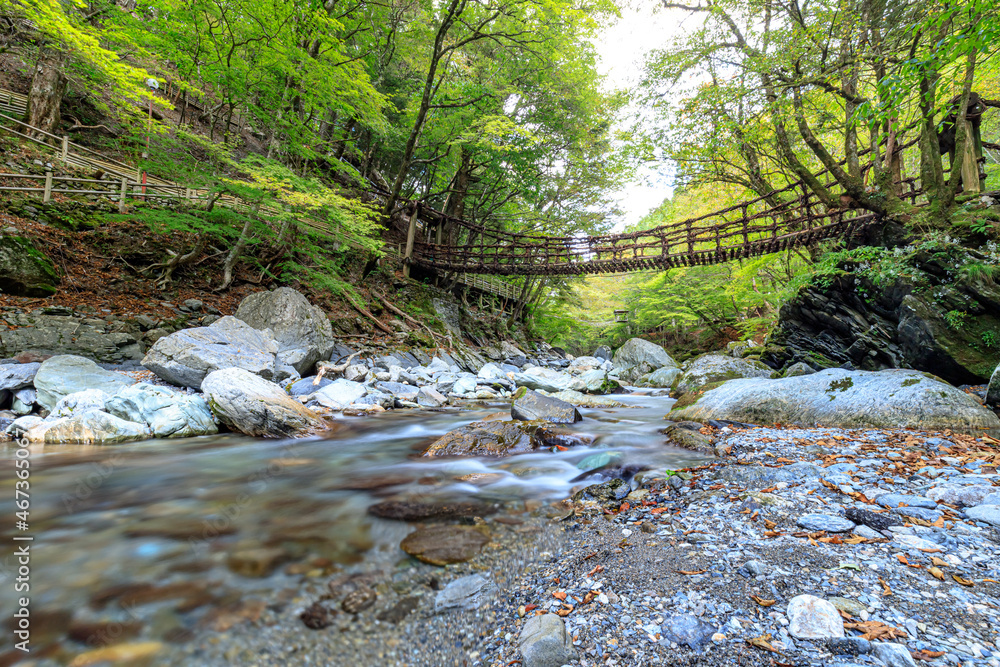 奥祖谷二重かずら橋 女橋 徳島県三好市 Oku Iya Double Kazura Bridge Onnabashi Tokushima ...