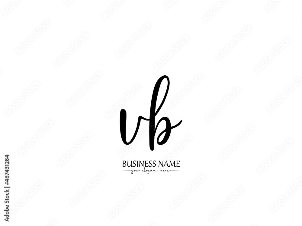 Letter VB Logo, New Handwriting VB v b Signature Logo Template Vector ...