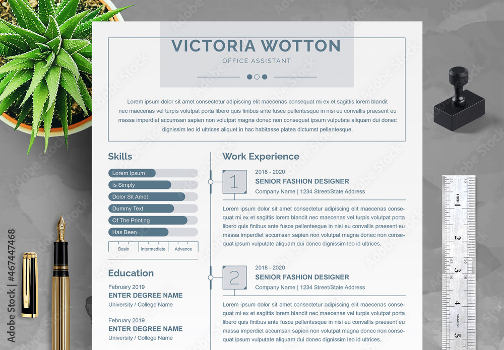 Professional or Designer Resume Layout Cv Stock Template | Adobe Stock