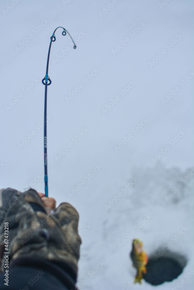 Ice fishing for perch showing a fish on the line from first person view ...