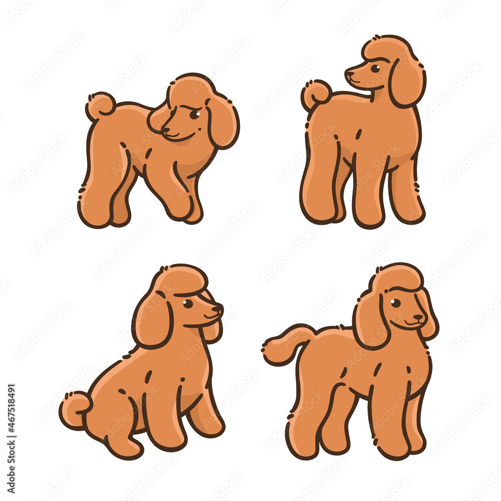 Cartoon dog icon set. Different poses of poodle. Vector illustration ...