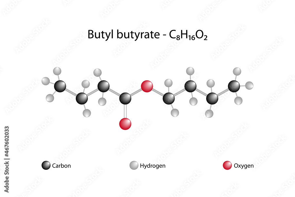Molecular formula of butyl butyrate. Butyl butyrate, or butyl butanoate ...