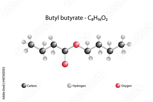 FotoMural Molecular formula of butyl butyrate. Butyl butyrate, or butyl ...