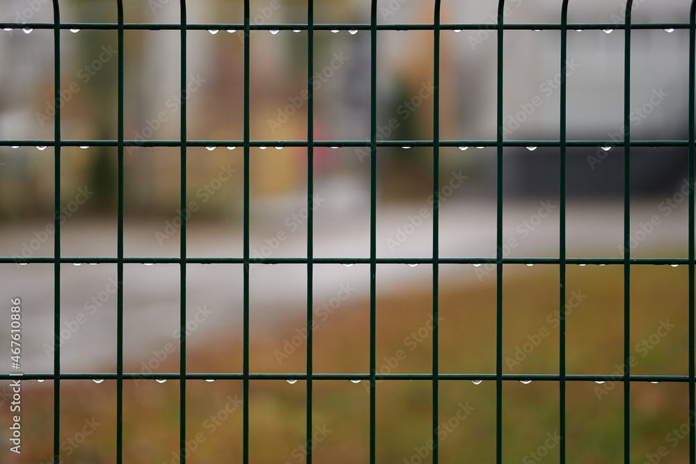 welded wire mesh fence close up covered with rain drops. Blured yard ...