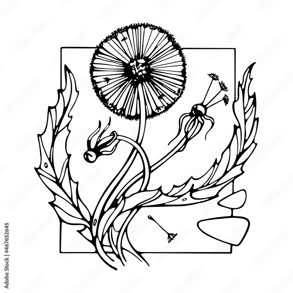 Dandelion Hand-drawn Outline Vector Illustration. For Coloring book ...