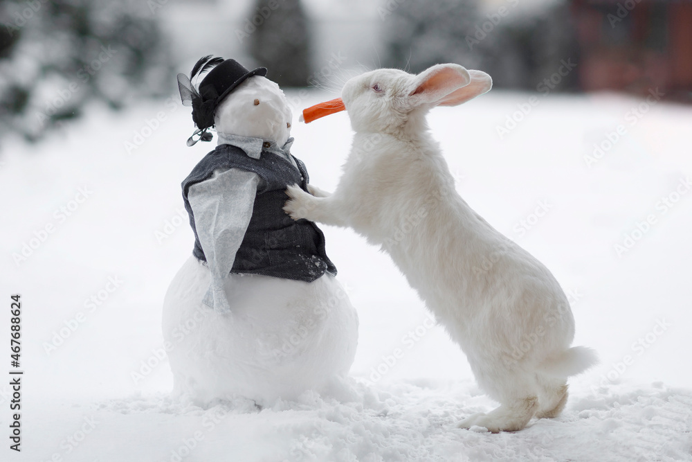 Snowman Rabbit