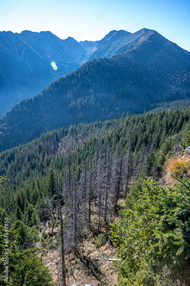 Tatry Stock Photo | Adobe Stock