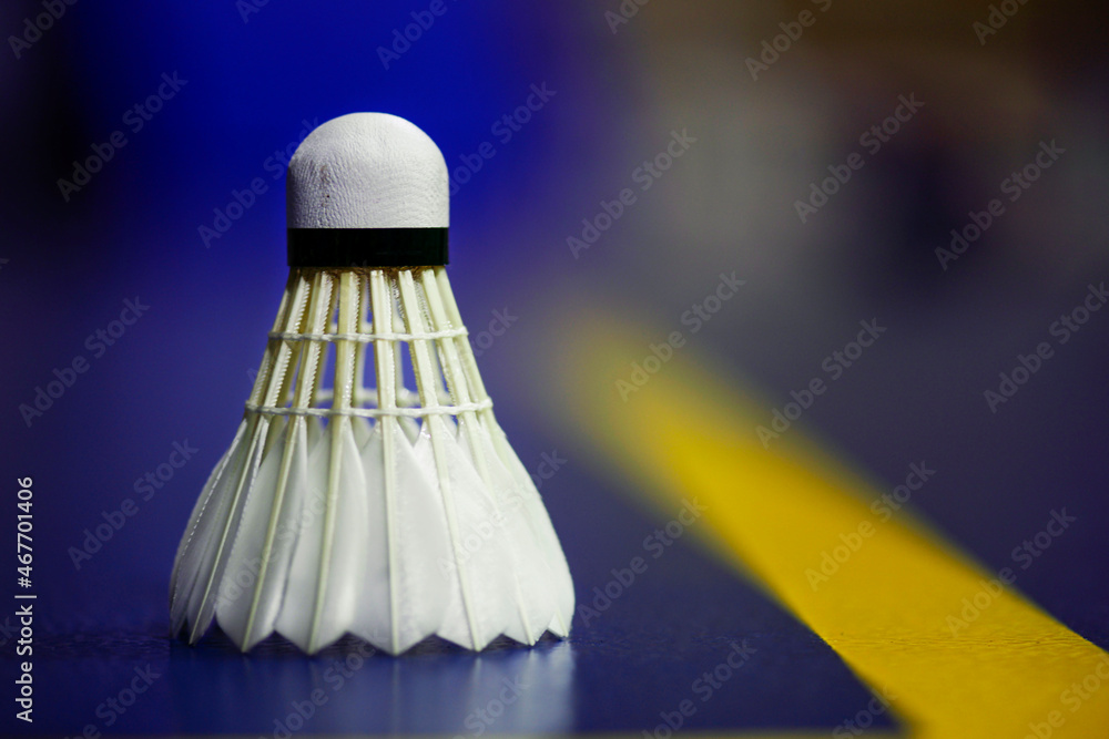 badminton shuttlecock Stock Photo | Adobe Stock