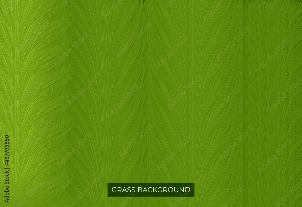 green straw grass texture illustration vector background. nature ...