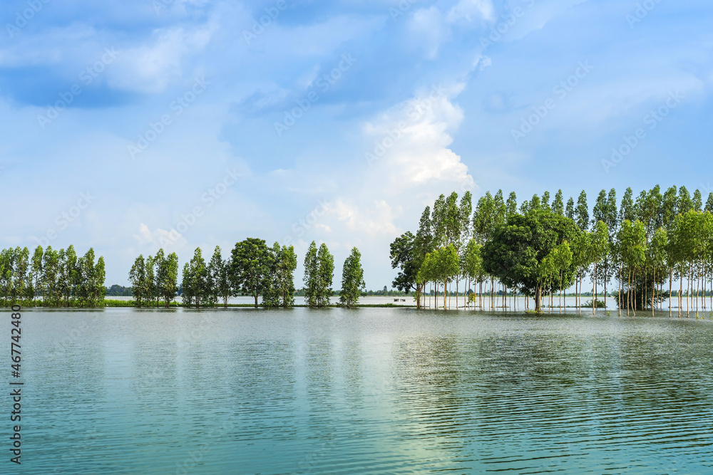 Scenic view of traditional flooded fields like a still lake on floating ...