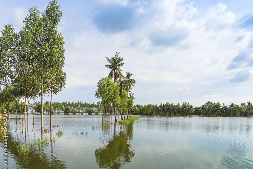 Scenic view of traditional flooded fields like a still lake on floating ...