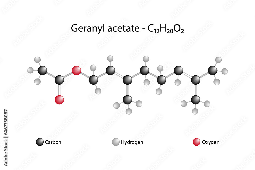 Vektorová grafika „Molecular formula of geranyl acetate. Geranyl ...