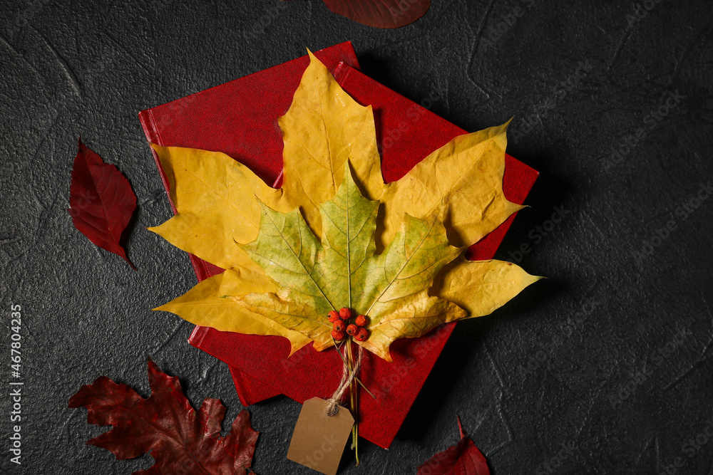 Beautiful autumn composition with books and leaves on black background ...