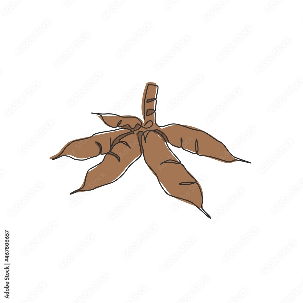Single continuous line drawing of whole healthy organic cassava for ...