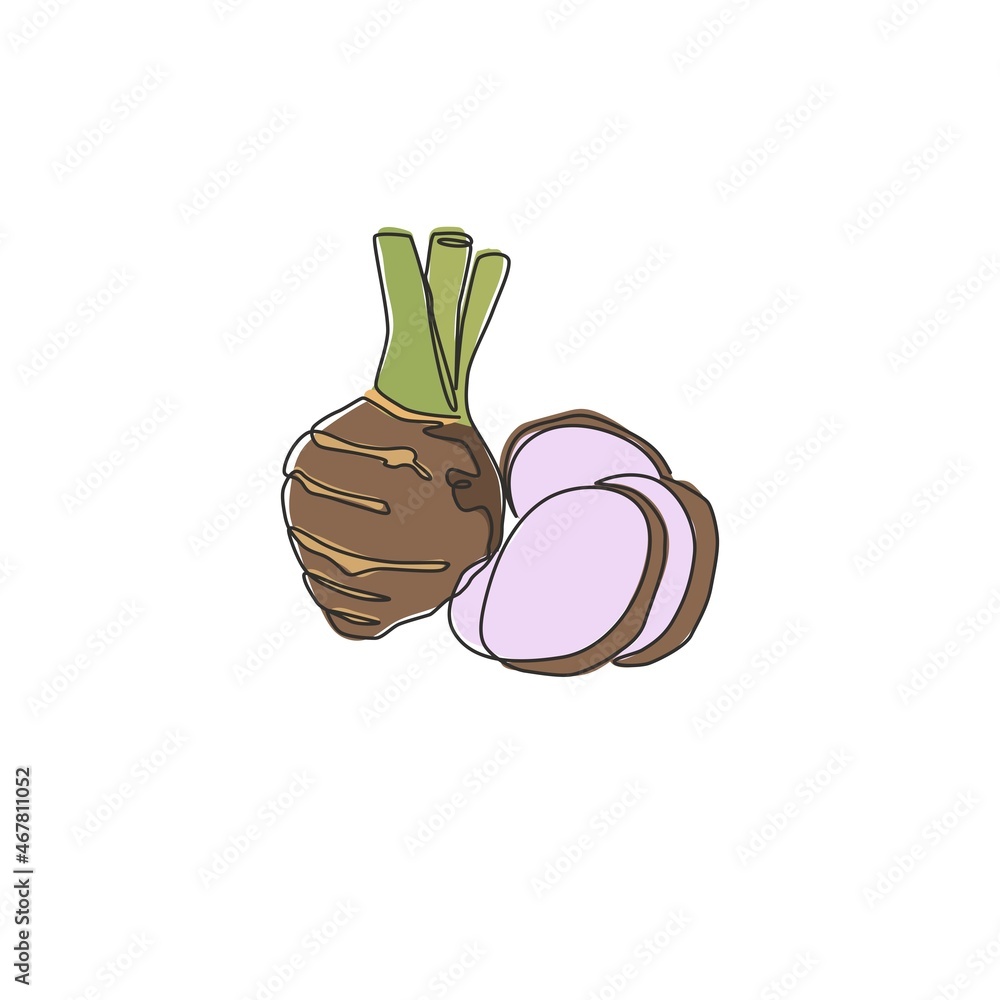 Single continuous line drawing of whole healthy organic taro for farm ...