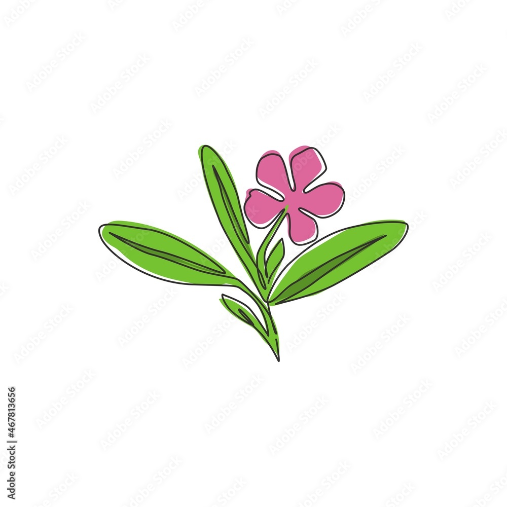 Single continuous line drawing of beauty fresh periwinkle for garden ...