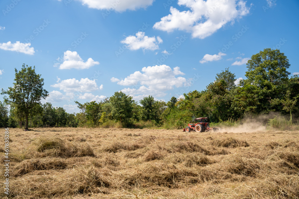 Agriculture tractor harvesting pangola grass using mechanical devices ...