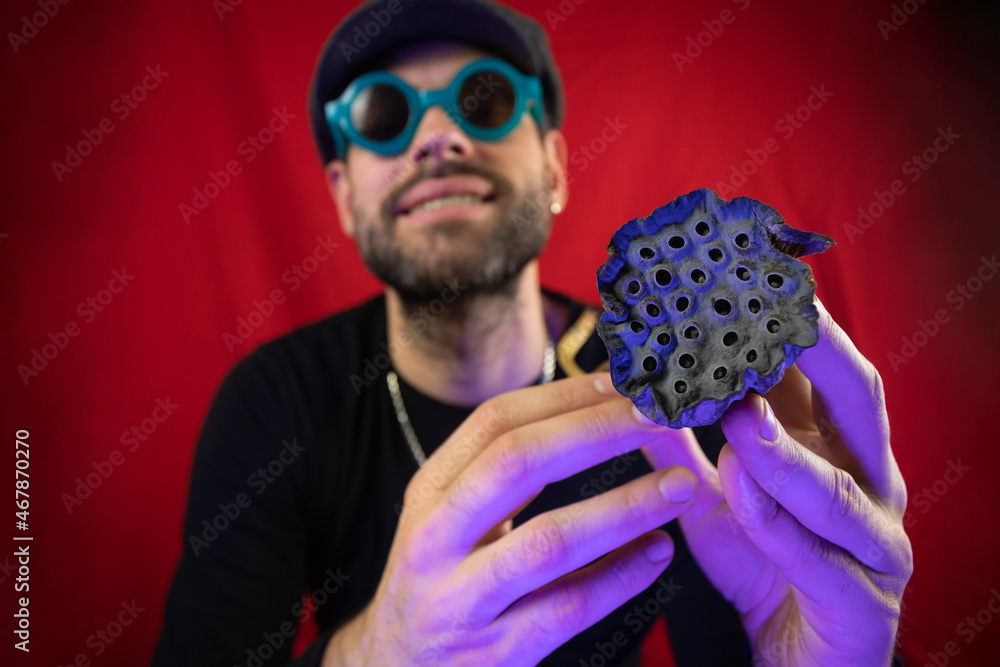 Dried lotus flower in the hands of a man. Representation of trypophobia ...