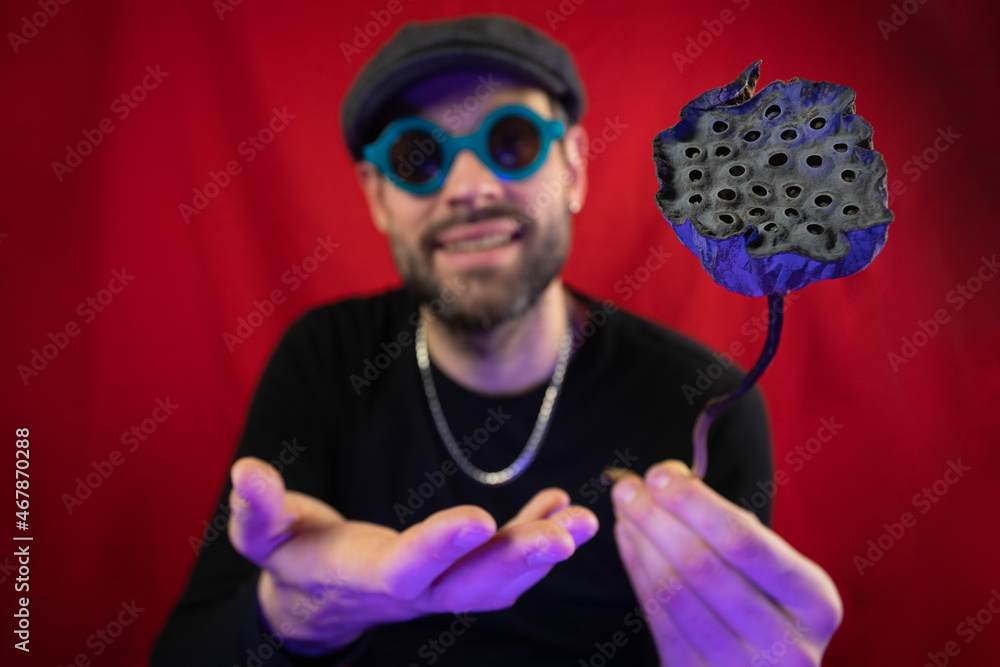Dried lotus flower in the hands of a man. Representation of trypophobia ...