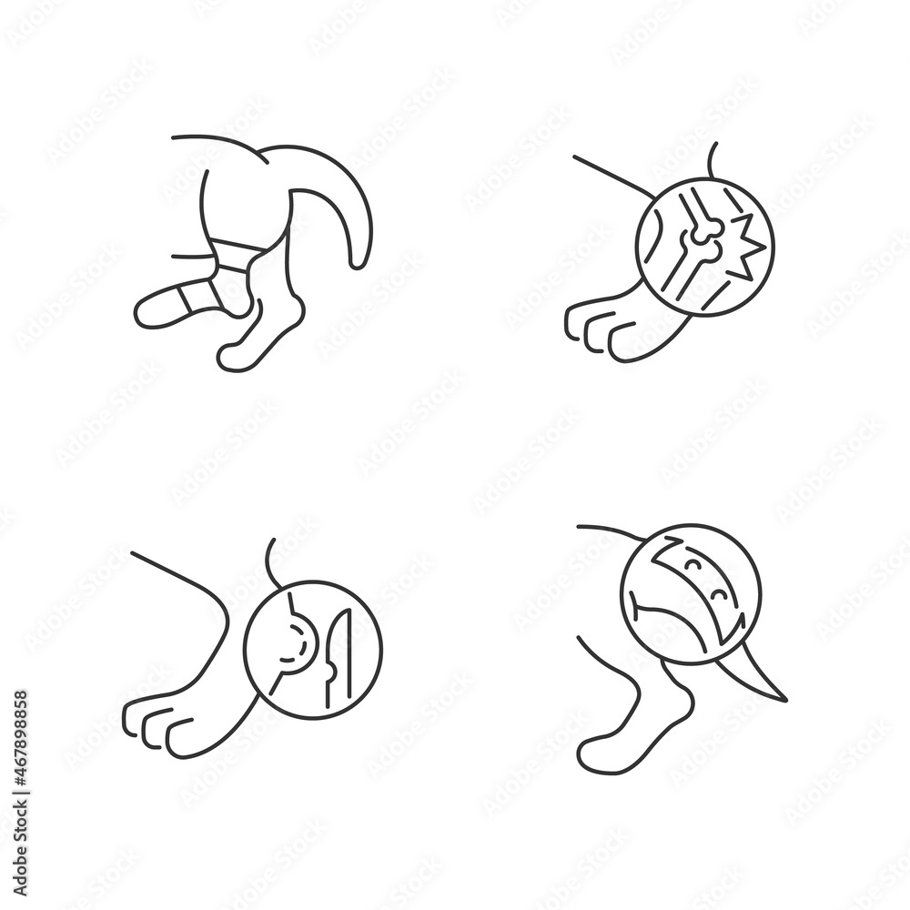 Animal injuries linear icons set. Pet physical diseases. Limb sprains ...