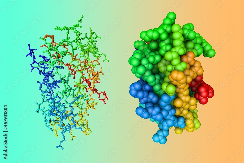 Molecular model of angiogenin, a potent stimulator of new blood vessels ...