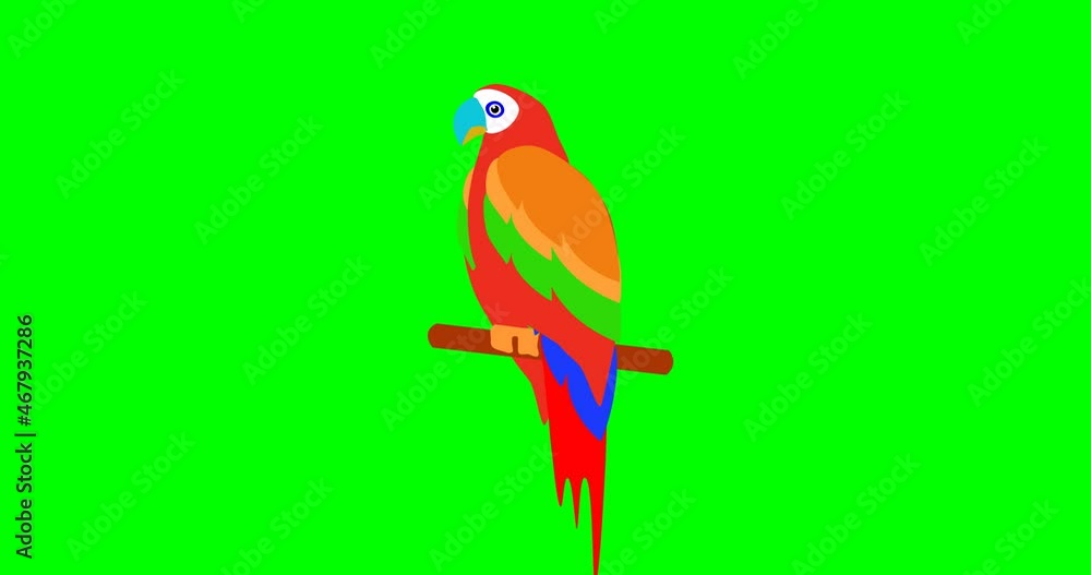 Parrot bird looping animation cartoon on green screen Stock Video ...