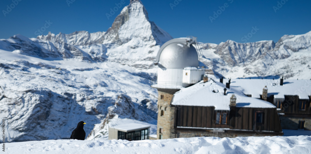 Matterhorn, Zermatt, Skiing, Winter Hiking, magical Landscape of ...