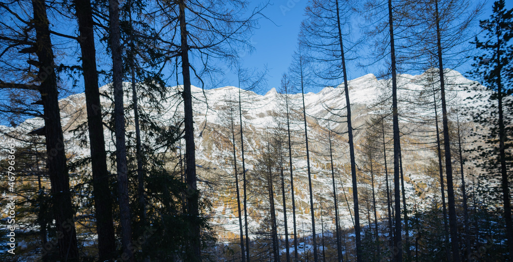 Matterhorn, Zermatt, Skiing, Winter Hiking, magical Landscampe of ...