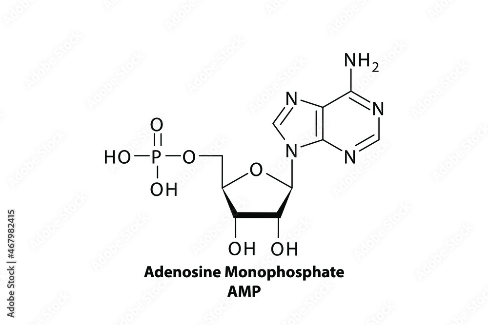 Amp Molecule
