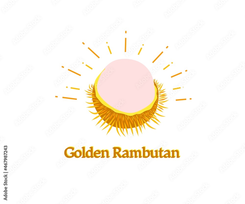 Rambutan fruit logo. Rambutan fruit icon. Fruit shop logo. Vector ...