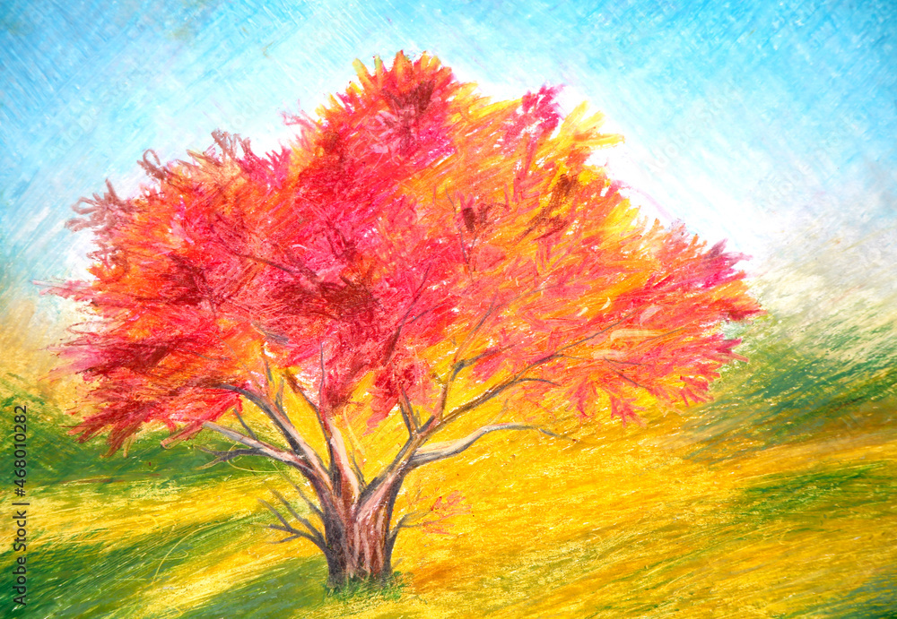 pencil drawing of tree in fall Stock Illustration | Adobe Stock