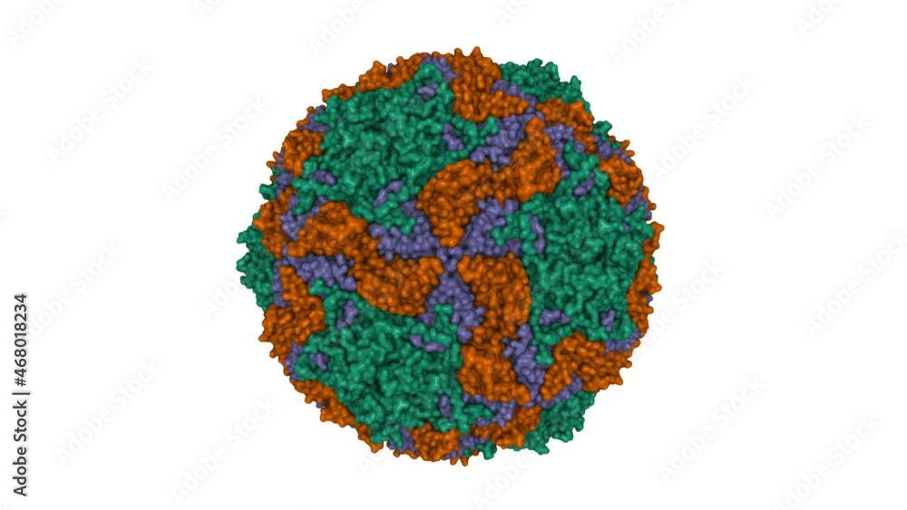 Cryo-EM structure of human Aichi virus. Animated 3D Gaussian surface ...