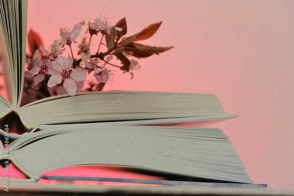 Spring books. Open book with pink flowering branches close-up on a ...