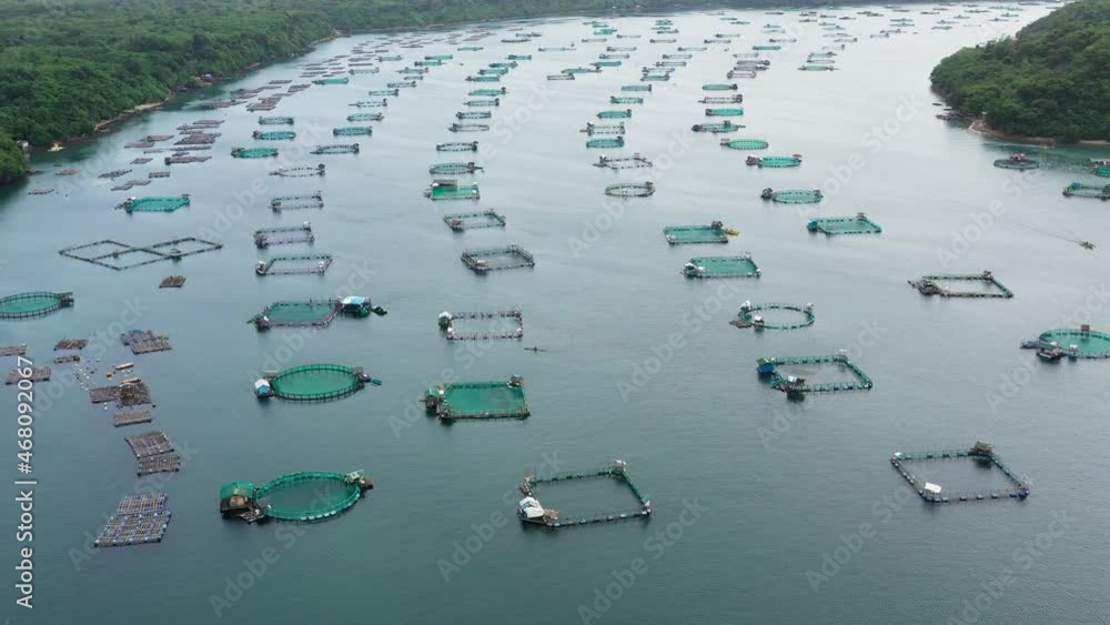 Fisheries on Luzon Island, Philippines. Fish farm, top view. Aerial ...
