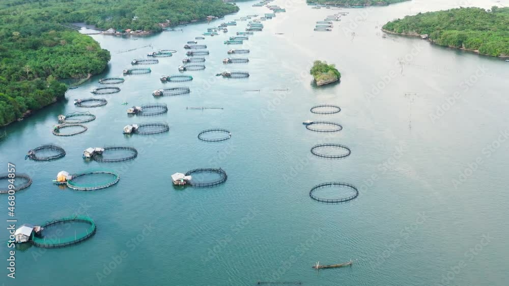 Fishing industry. Fish farming on an industrial scale. Aerial view of ...