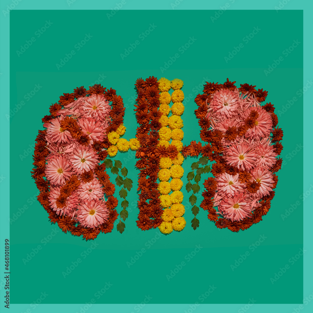 Flower installation of kidneys on green background, concept of kidney ...
