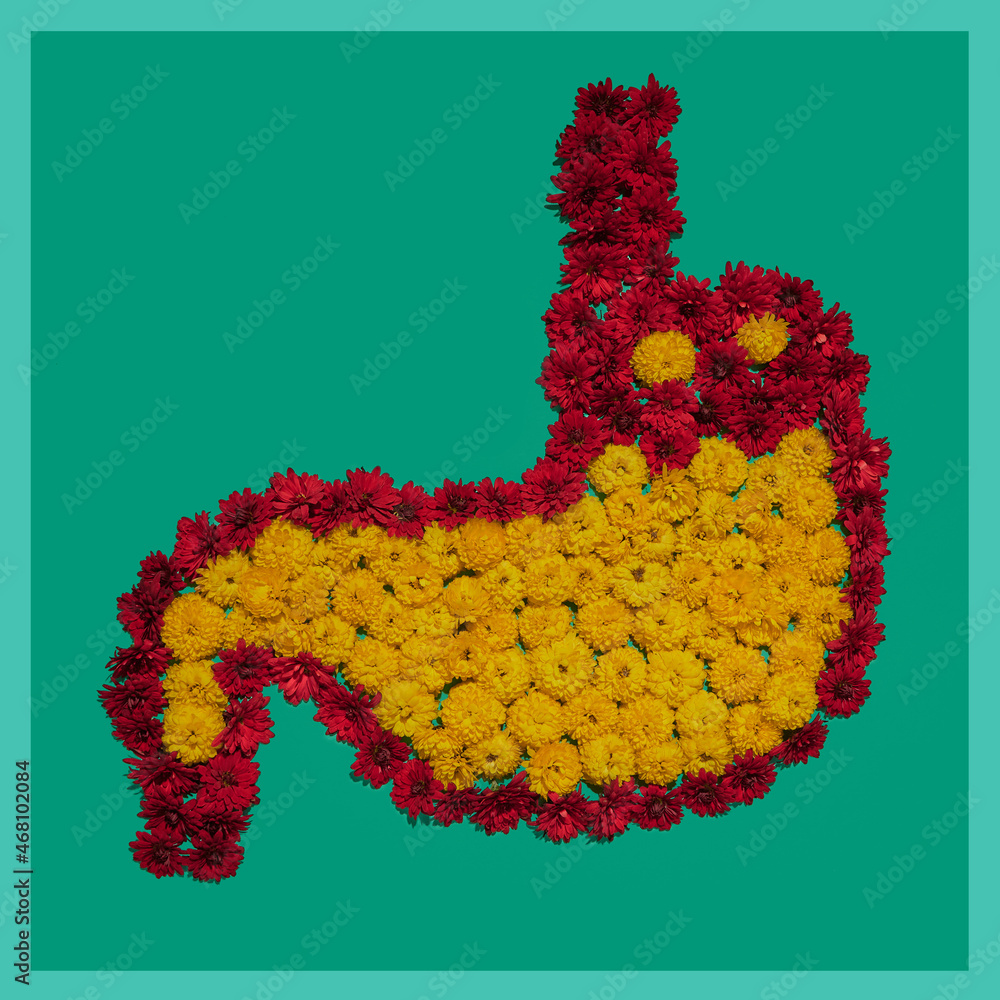 Shape of human stomach made of flowers, stomach health concept. Part of ...