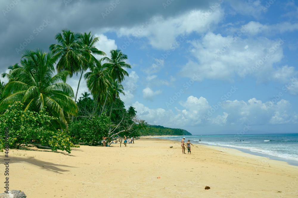 sea coast yellow sand waterfront palms jungle. Photo of a sandy beach ...