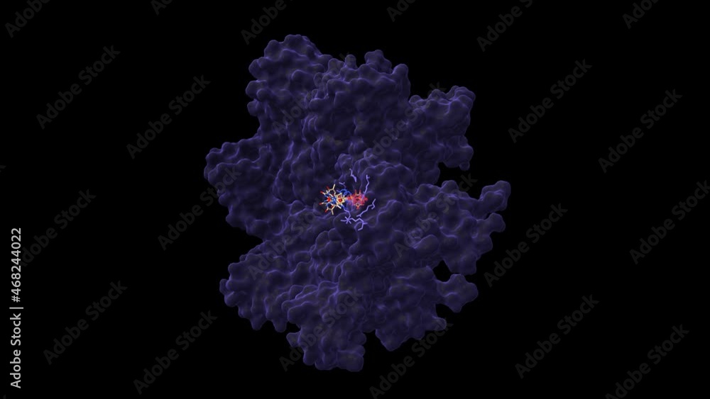 HIV 1 gag polyprotein hexamer complexed with antiviral drug, AZT. Animated 3D cartoon and ...