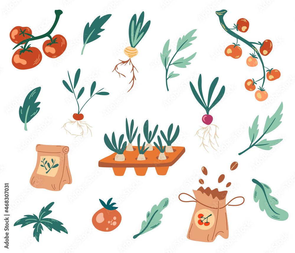 Set of Seedlings. Seeds, fertilizers, seedlings, tomatoes, root crops ...