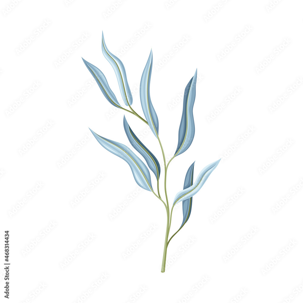 Blue plant with narrow blue leaves vector illustration Stock Vector ...