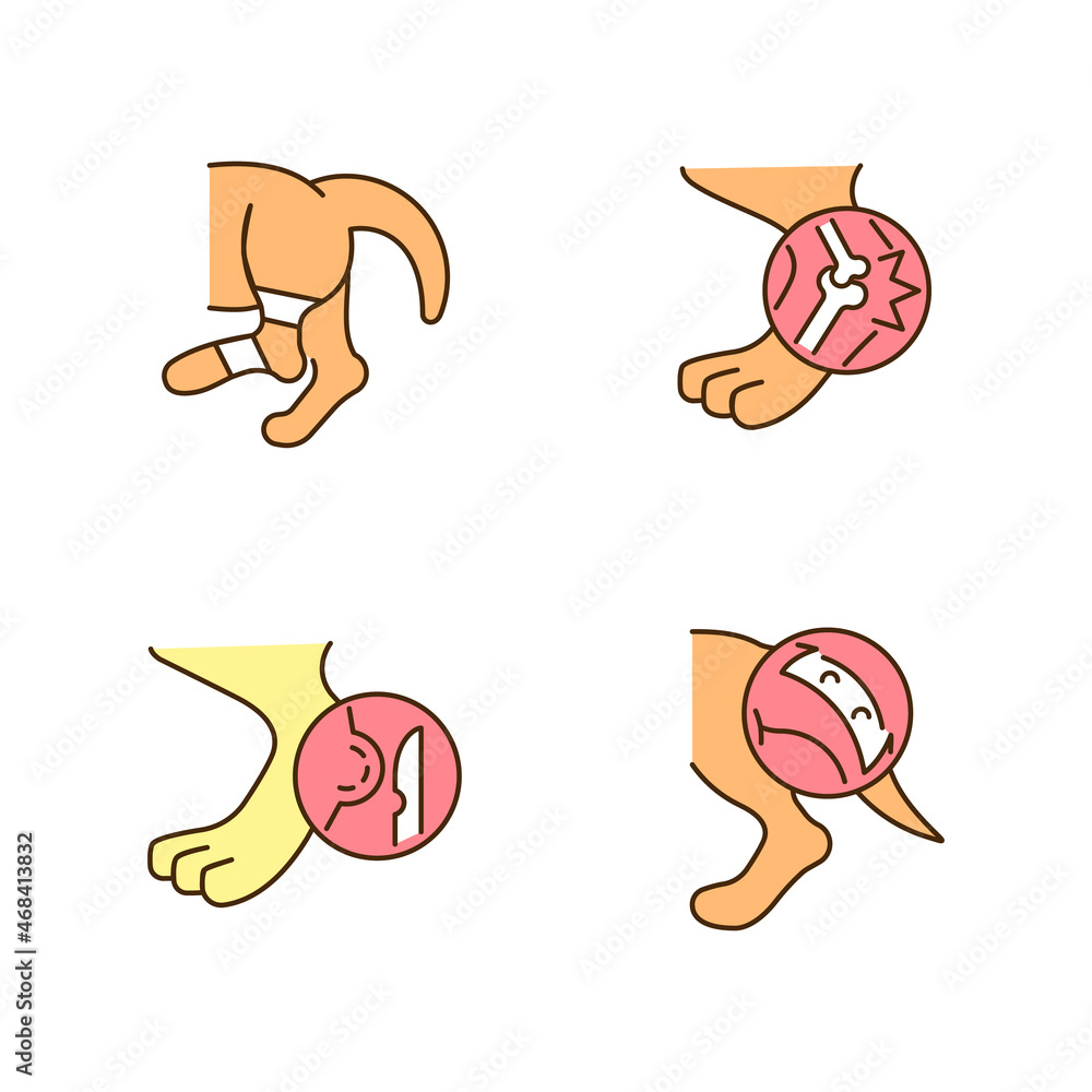 Animal injuries RGB color icons set. Pet physical diseases. Limb ...
